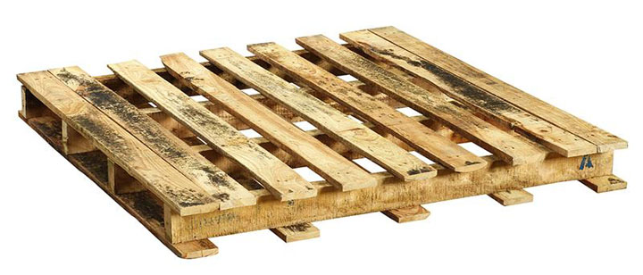 Inicio | Tarimas Panamericanas